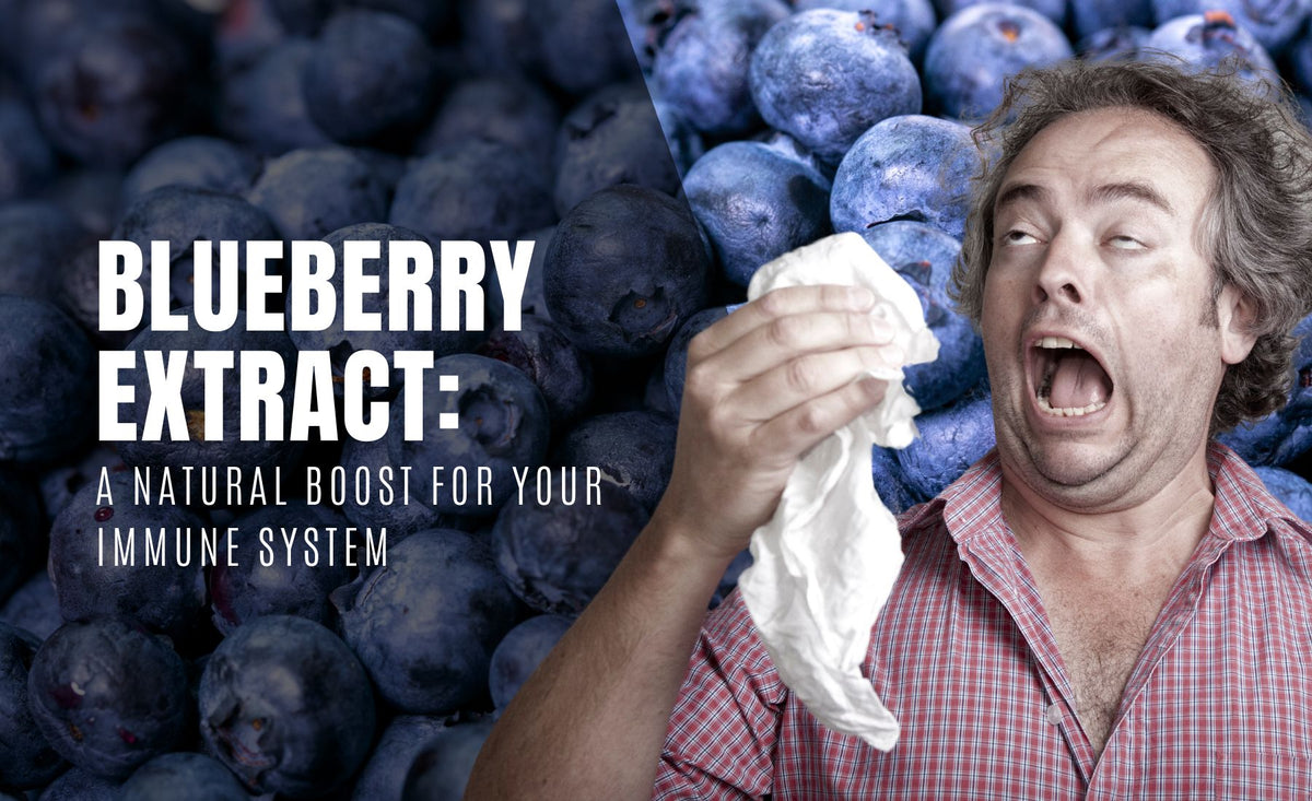Blueberry Extract: A Natural Boost for Your Immune System – APH Science