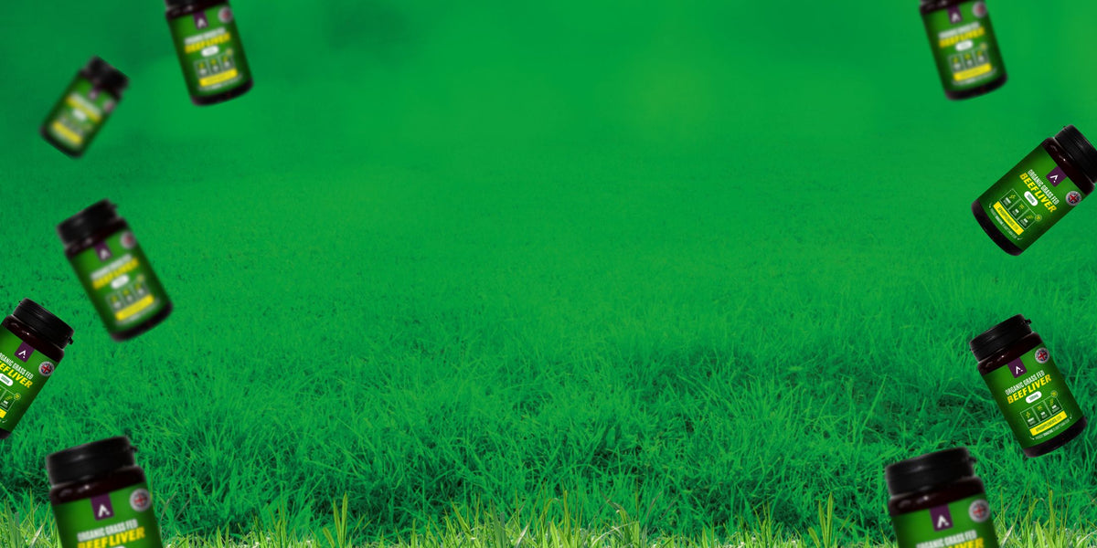 Beef Liver – APH Science